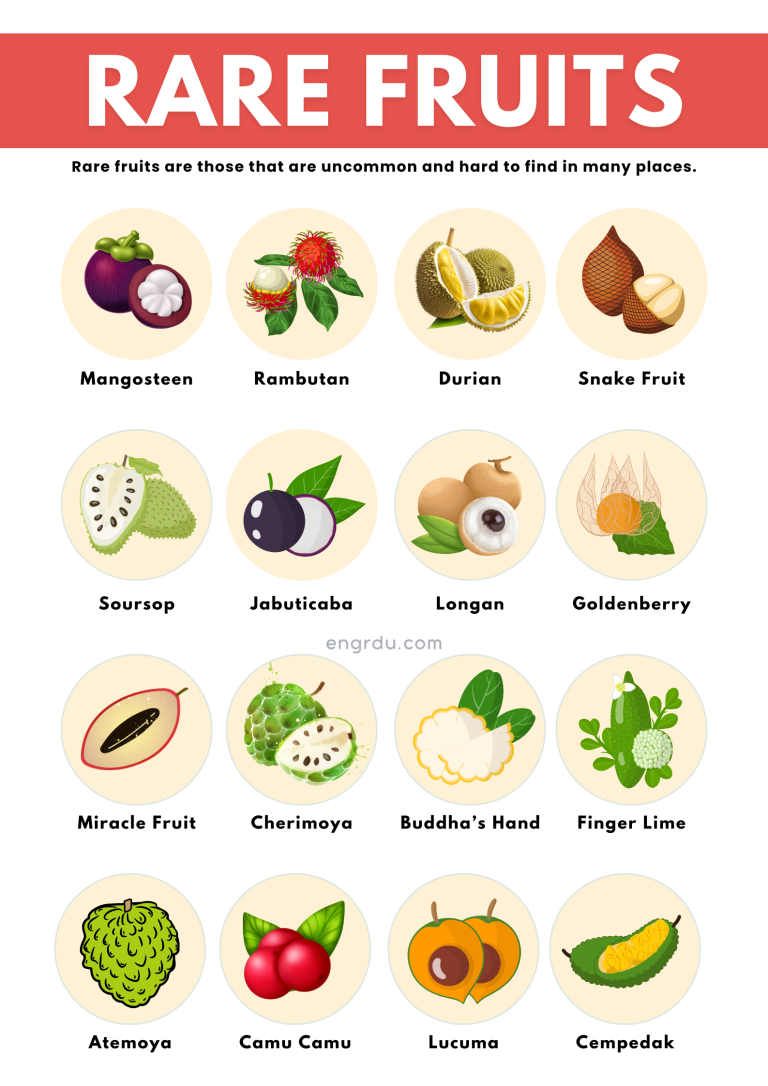 Rare Fruit Names in English with Pictures | Exotic Fruits List
