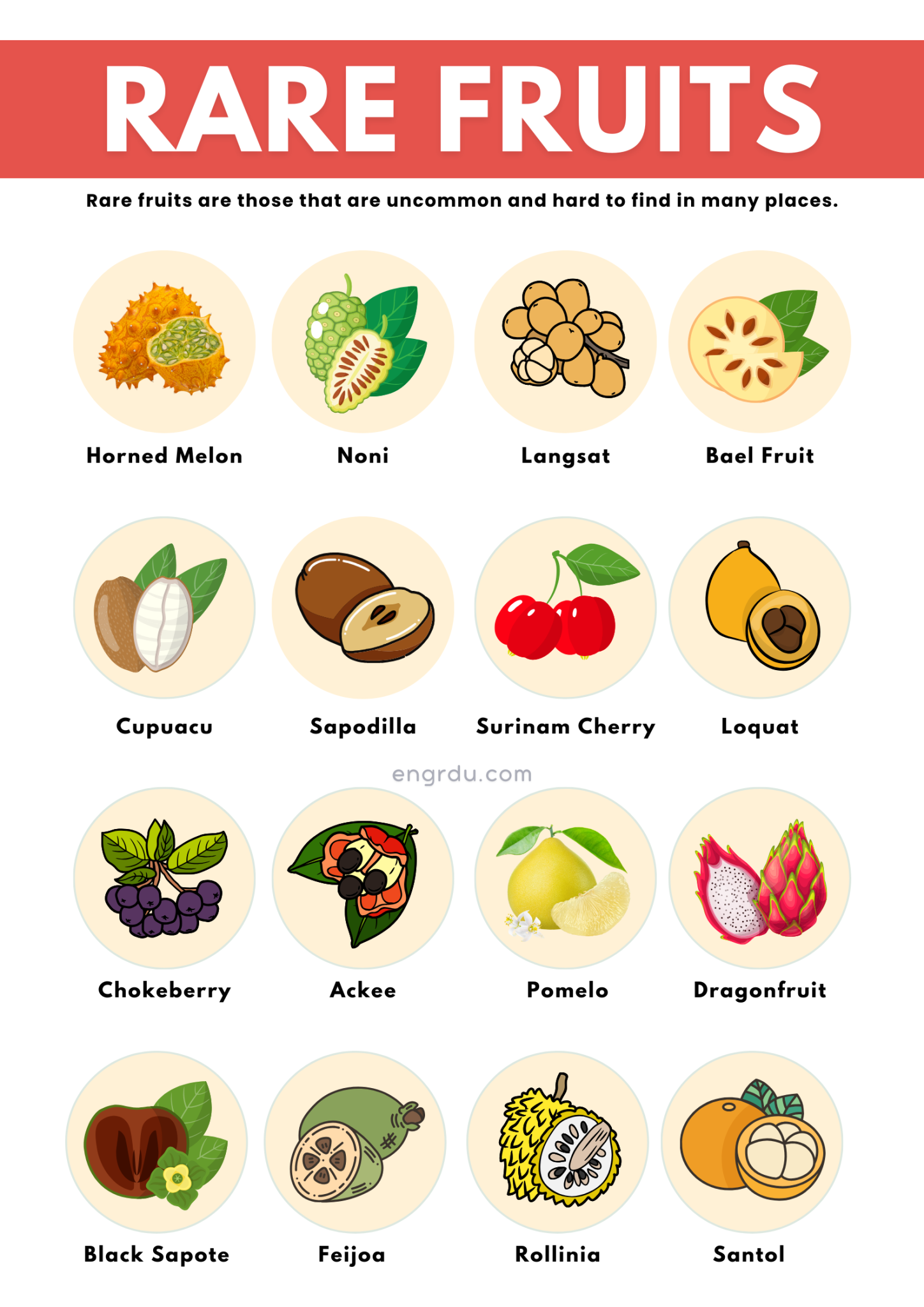 Rare Fruit Names in English with Pictures | Exotic Fruits List