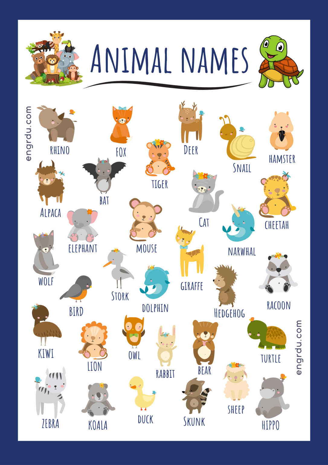 List of 100+ Animal Names in English with Images