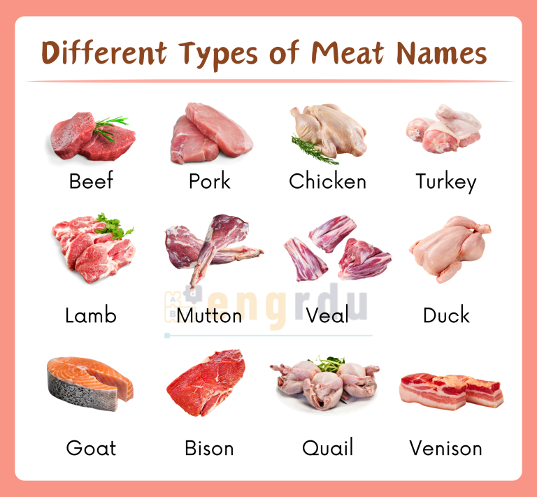 Meat Names in English with Pictures | Types of Meat