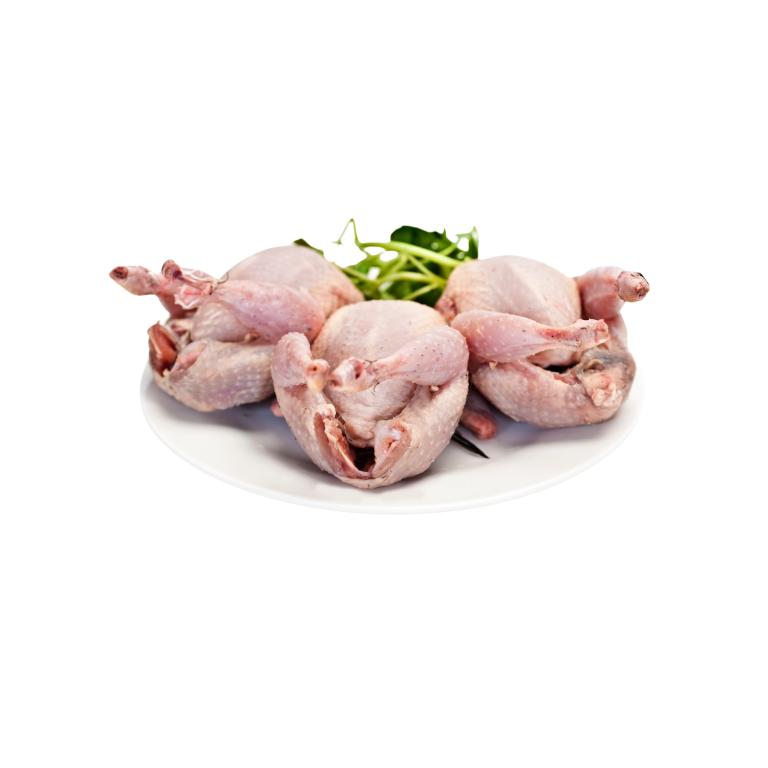 Meat Names in English with Pictures | Types of Meat