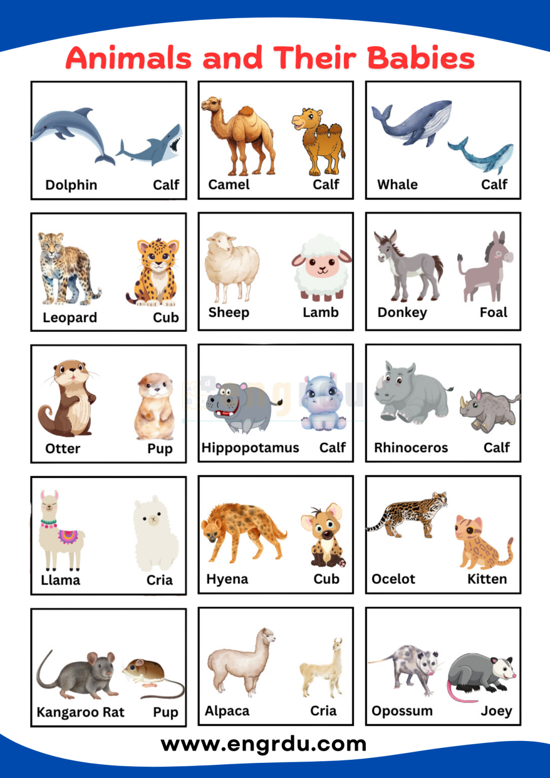 Animals and Their Babies Names with Pictures in English - Engrdu