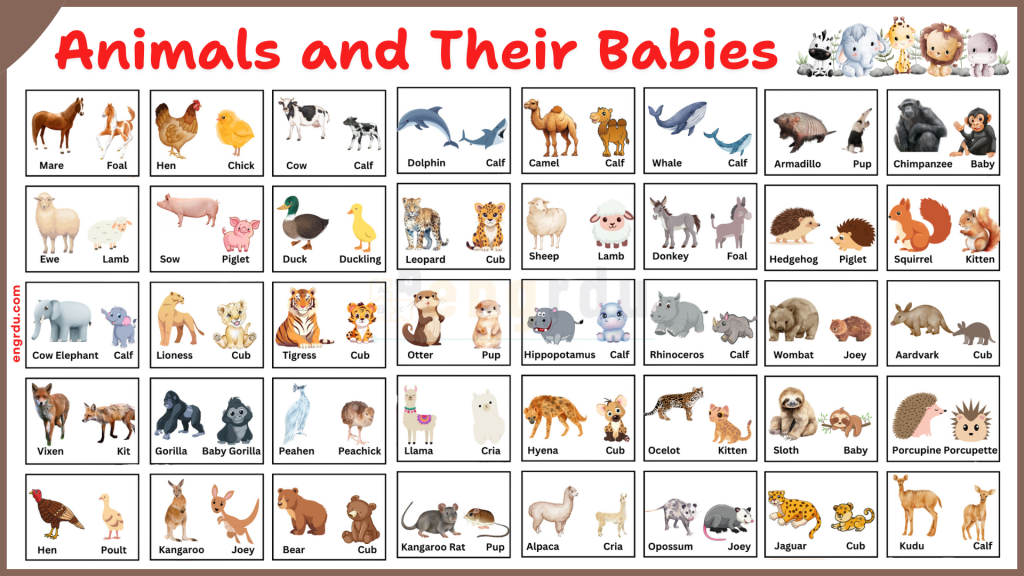 Animals and Their Babies Names with Pictures in English - Engrdu