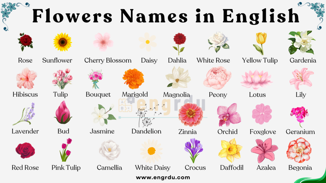 Flowers Names in English with Pictures | 100 Flower Names - Engrdu
