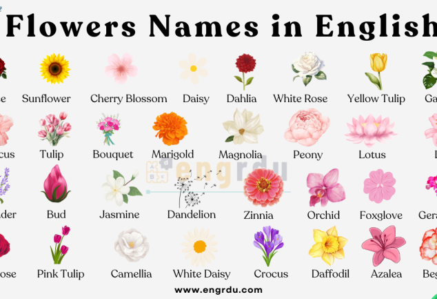 Boost Your English Language Learning Skills