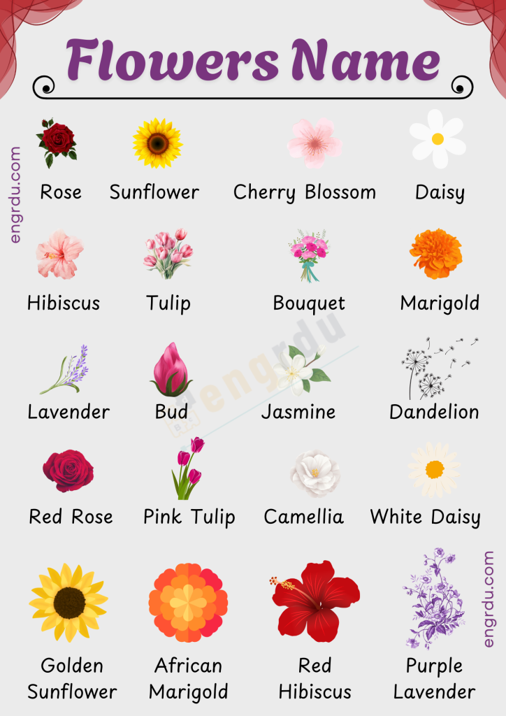 Flowers Names in English with Pictures | 100 Flower Names - Engrdu