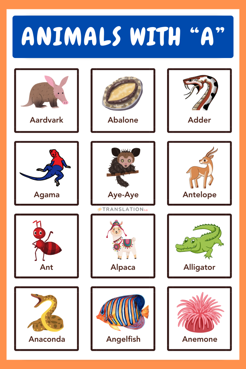 30 Cute Animals That Start with A in English with Pictures - Engrdu