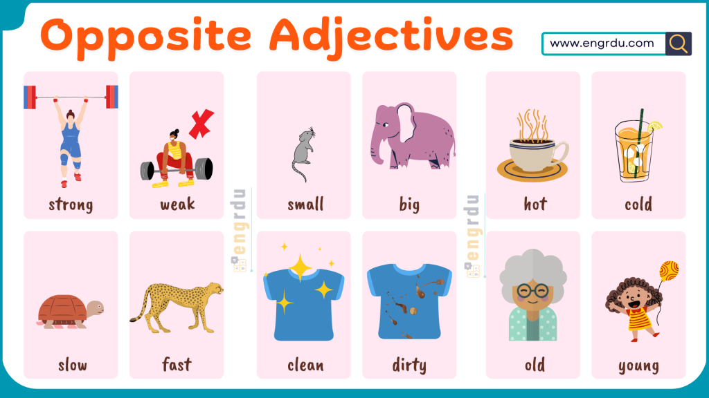 70 Common Opposite Adjectives in English with Pictures - Engrdu