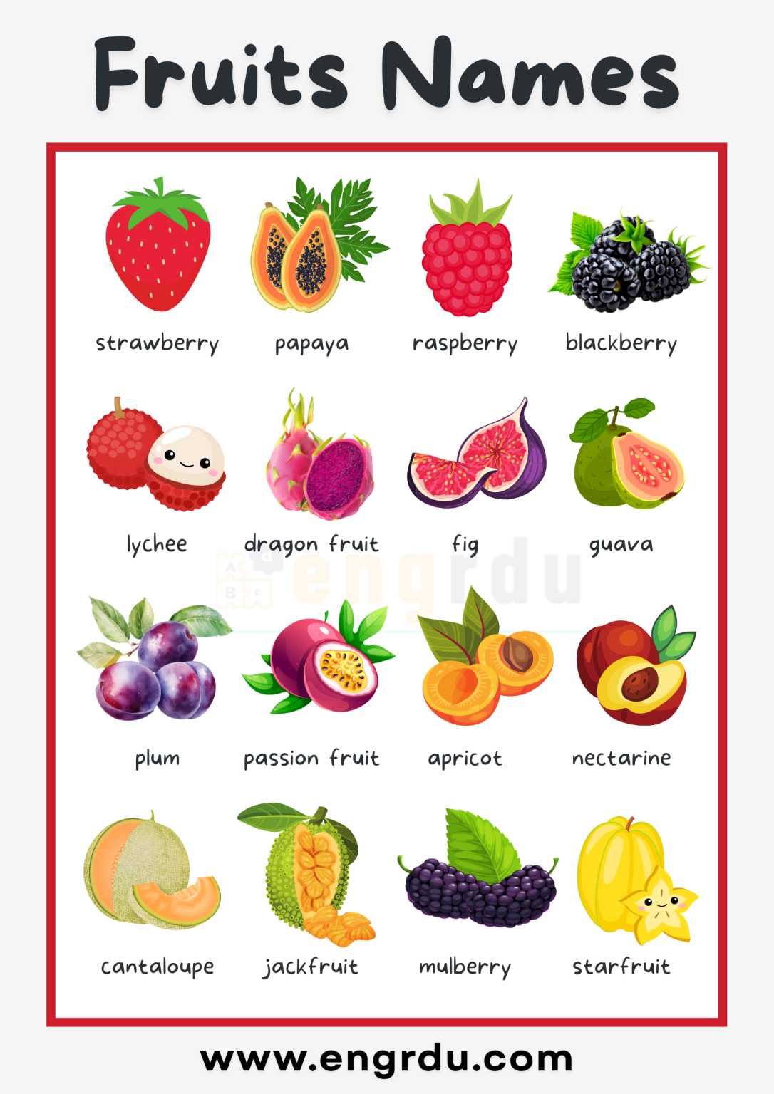 Fruits Vocabulary for Kids | 100 Fruit Names with Pictures - Engrdu
