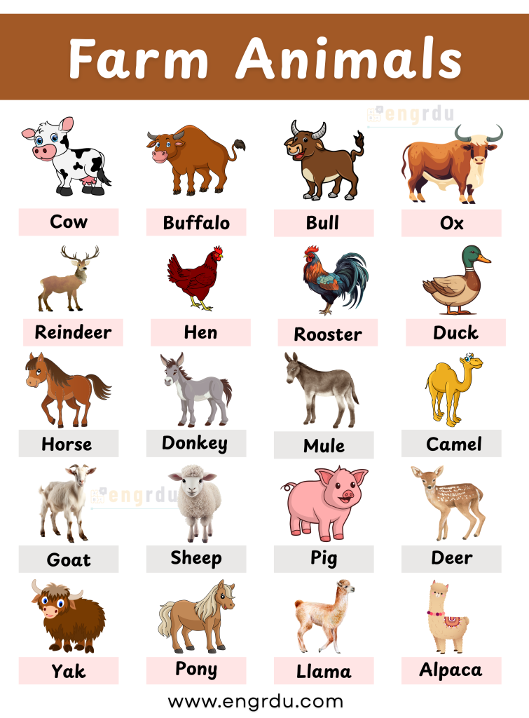 20+ Farm Animals Name in English with Pictures - Engrdu