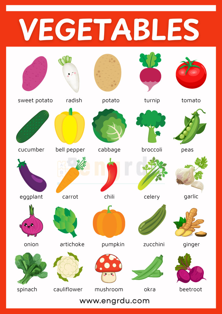 80+ Vegetable Names in English for Children with Pictures - Engrdu