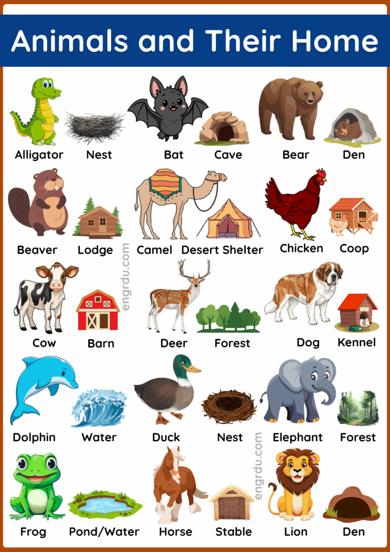 Animals Home Name | List of All Animals and Their Home - Engrdu