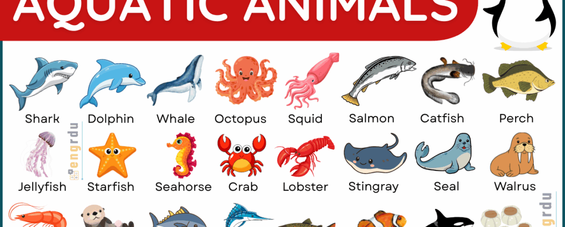 100+ Aquatic Animals Name with Their Pictures and PDF - Engrdu