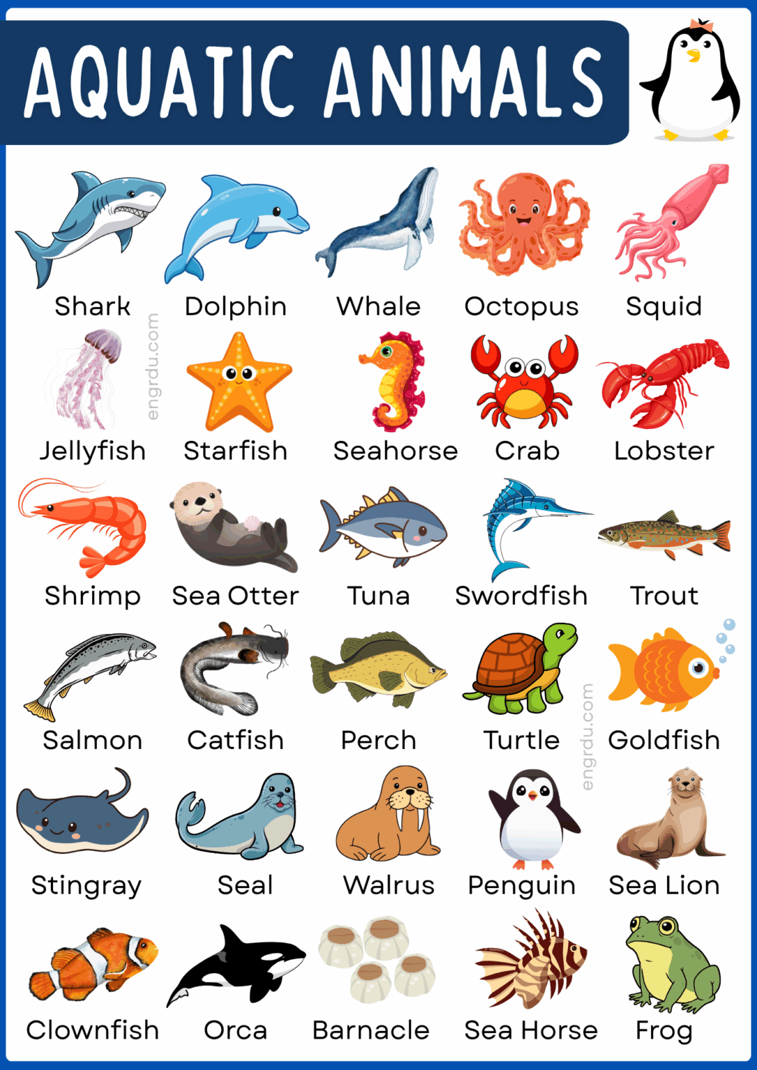 100+ Aquatic Animals Name with Their Pictures and PDF - Engrdu