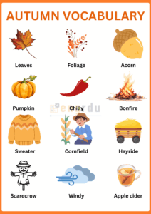 100 Beautiful Seasons Vocabulary Words in English with Pictures - Engrdu