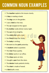 50+ Daily Used Common Noun Examples in Sentences - Engrdu