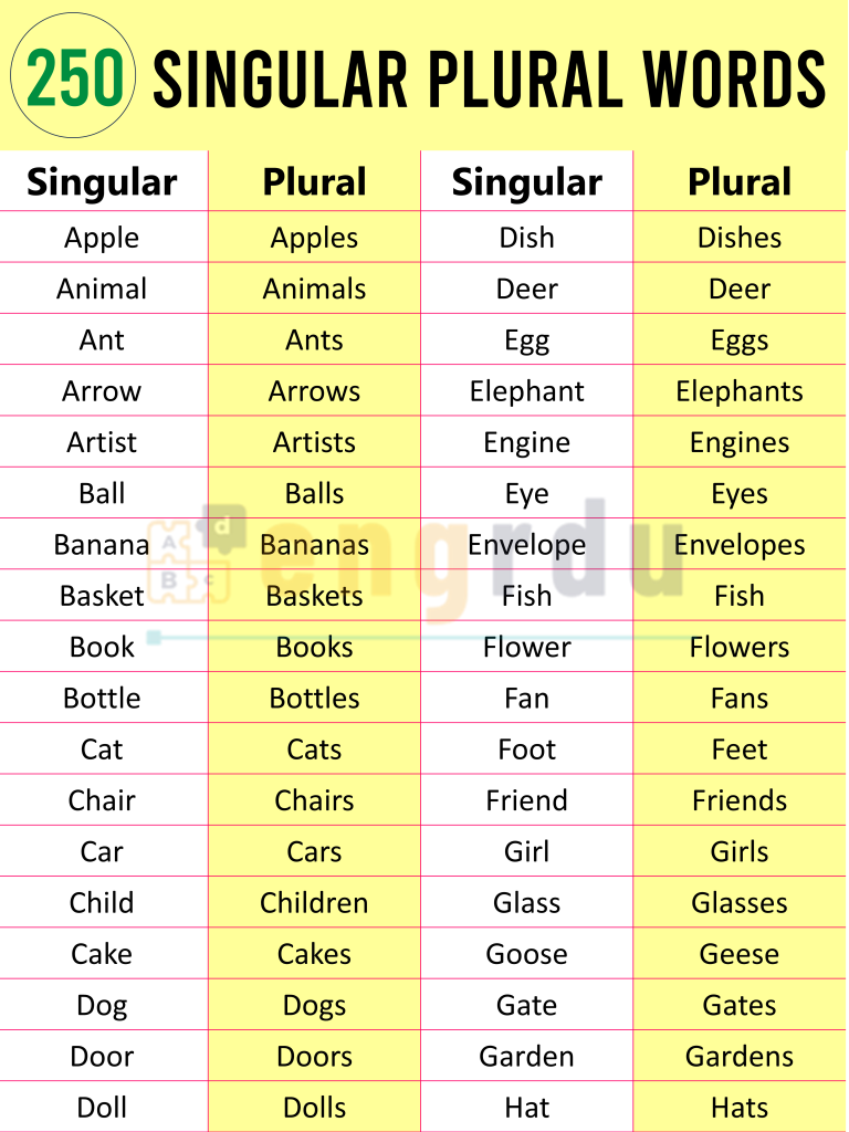 250 Singular and Plural Words Examples in English - Engrdu