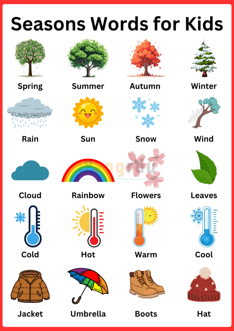 100 Beautiful Seasons Vocabulary Words in English with Pictures - Engrdu