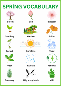 100 Beautiful Seasons Vocabulary Words in English with Pictures - Engrdu