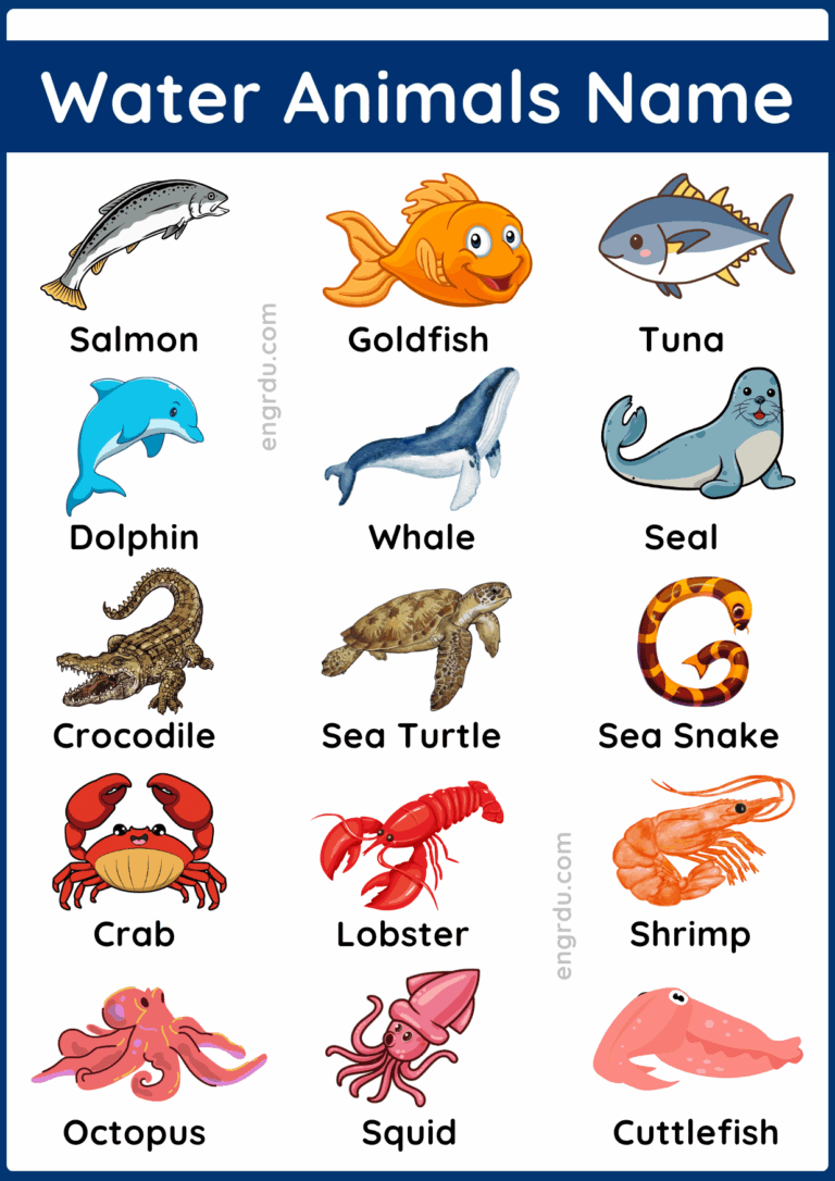 50+ Water Animals Name in English with Their Pictures - Engrdu