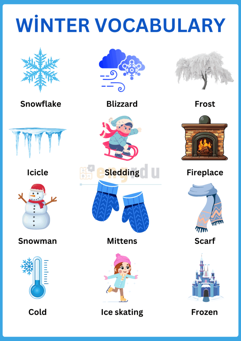 100 Beautiful Seasons Vocabulary Words in English with Pictures - Engrdu