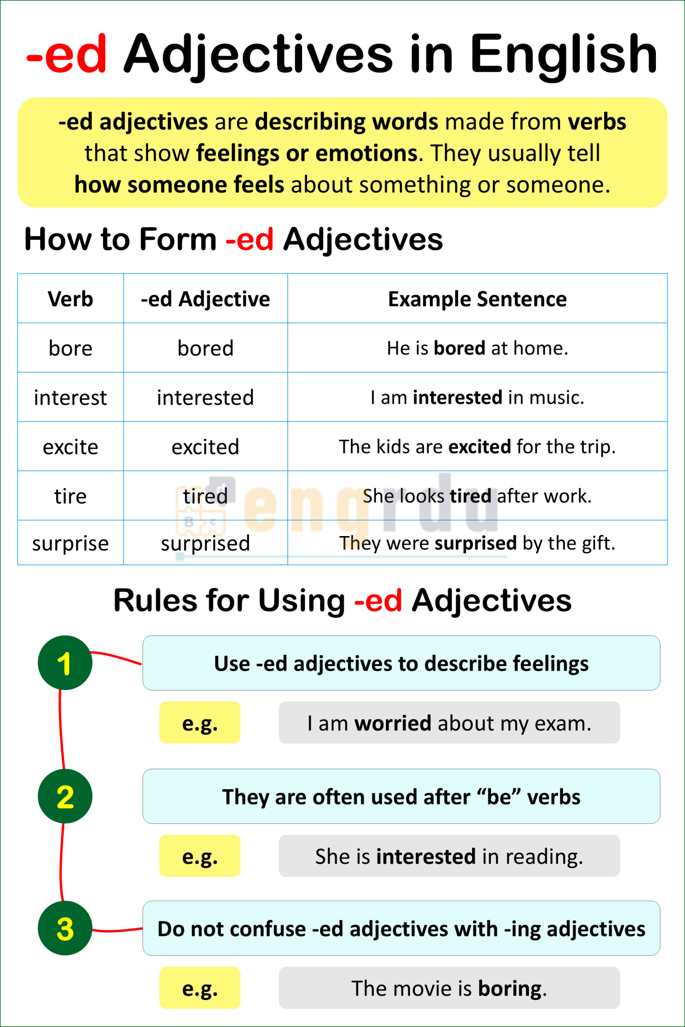 -ed Adjectives Explained in English with Examples - Engrdu