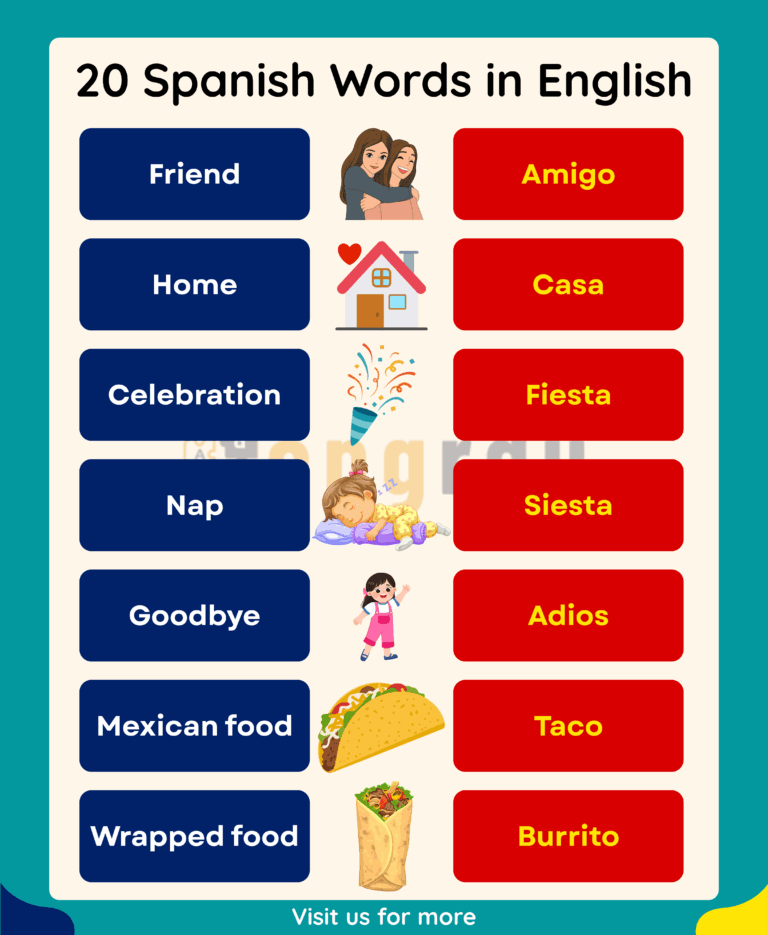 20 Spanish Words with Meanings in English - Engrdu