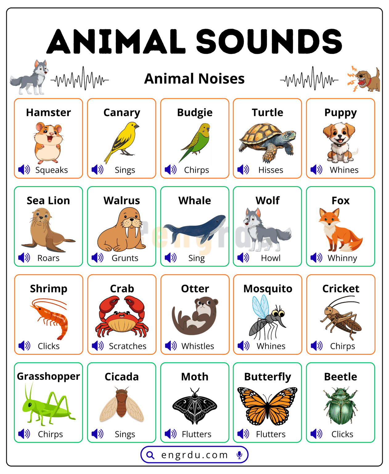 100 Animal Sounds in English with Animals Pictures - Engrdu