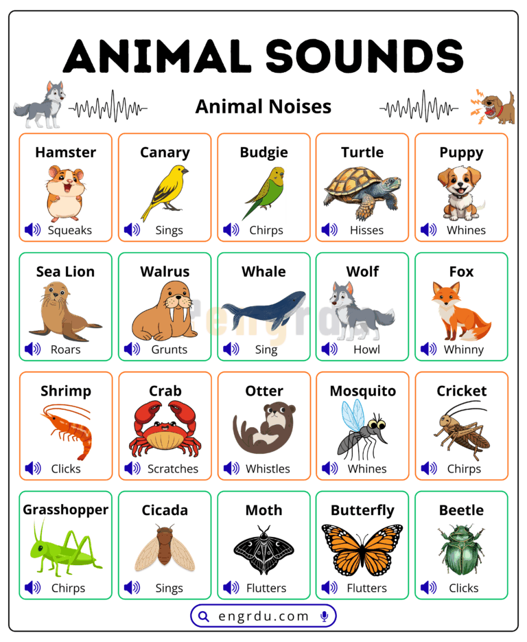 100 Animal Sounds in English with Animals Pictures - Engrdu