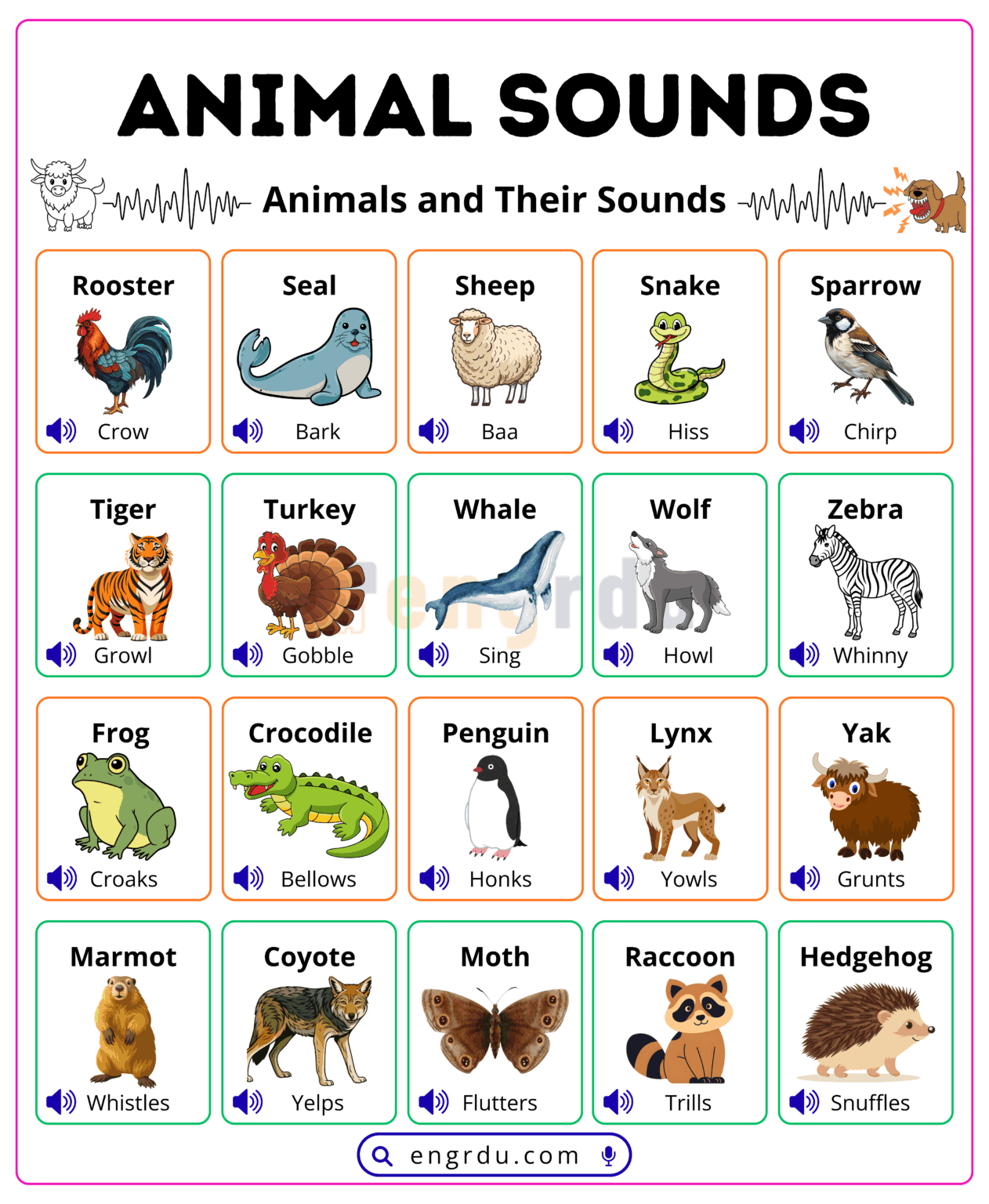 100 Animal Sounds in English with Animals Pictures - Engrdu