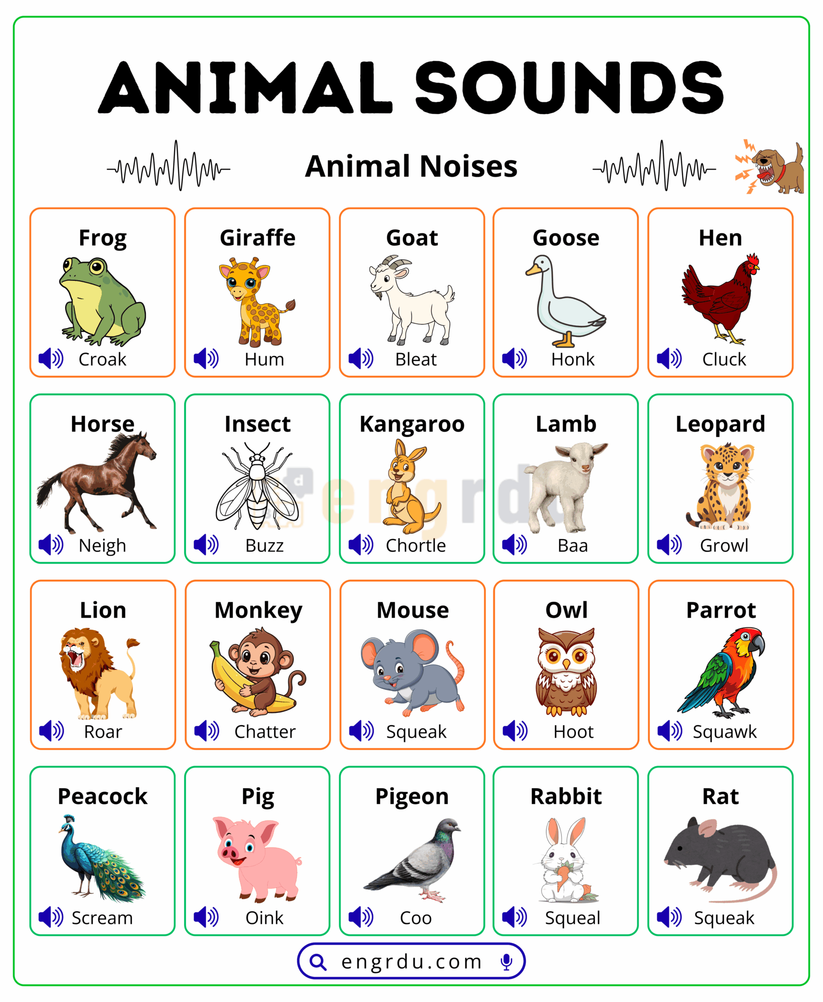 100 Animal Sounds in English with Animals Pictures - Engrdu