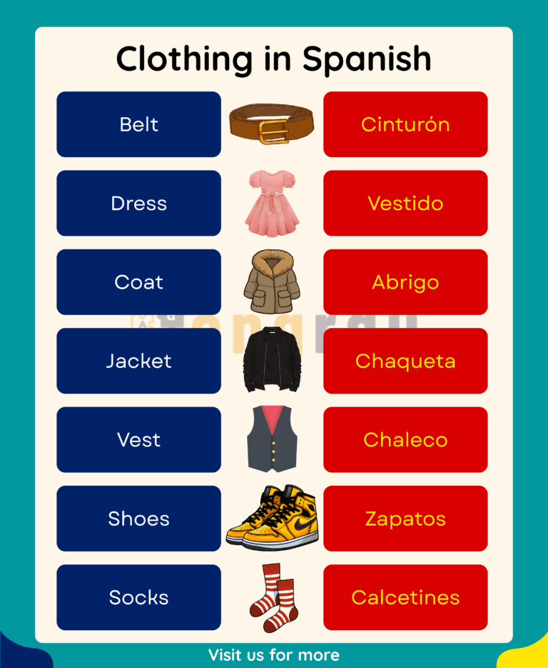 45+ Names of Clothing in Spanish with Pictures - Engrdu