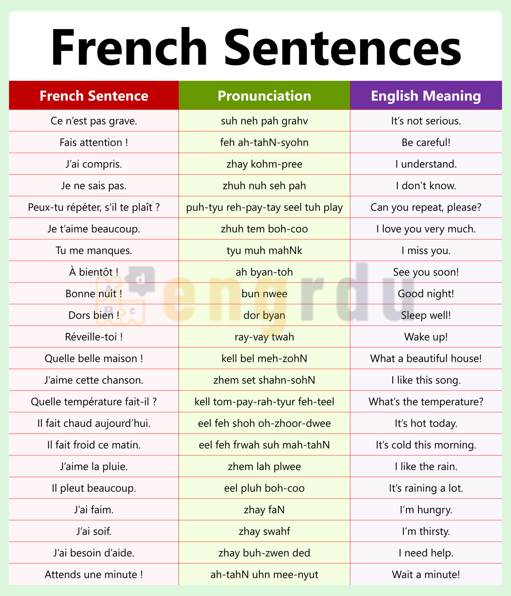 100+ Basic French Sentences with Pronunciation and PDF - Engrdu