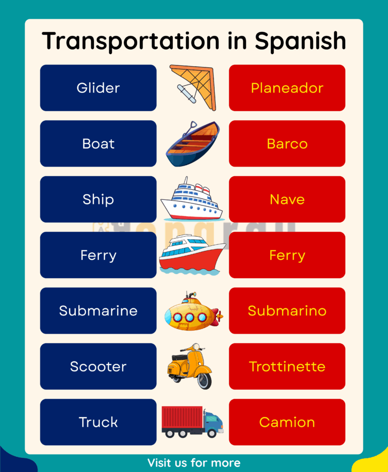 45+ Transportation in Spanish with English and Images - Engrdu