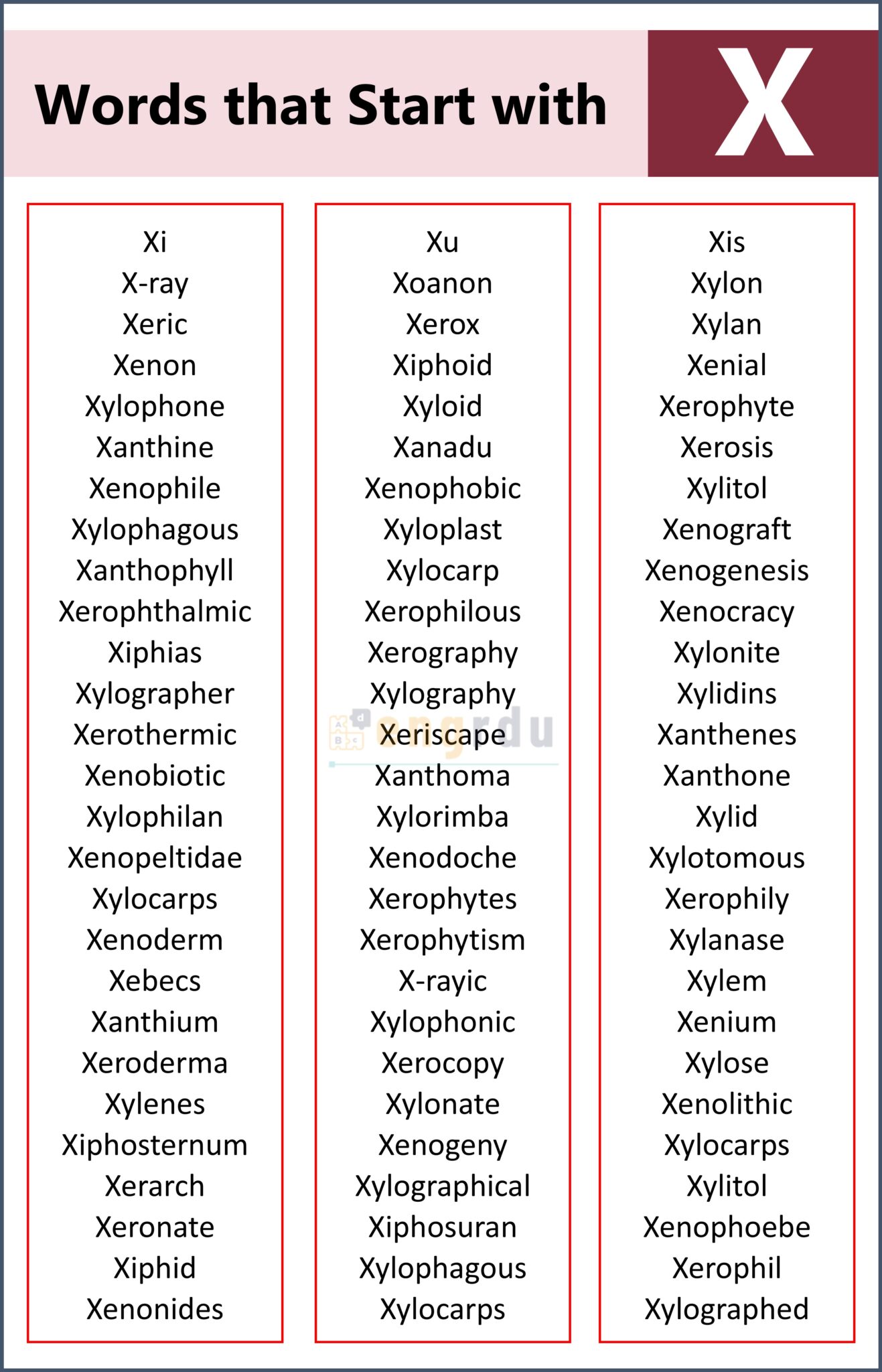 350+ Words that Start with X | X-Words List in English - Engrdu