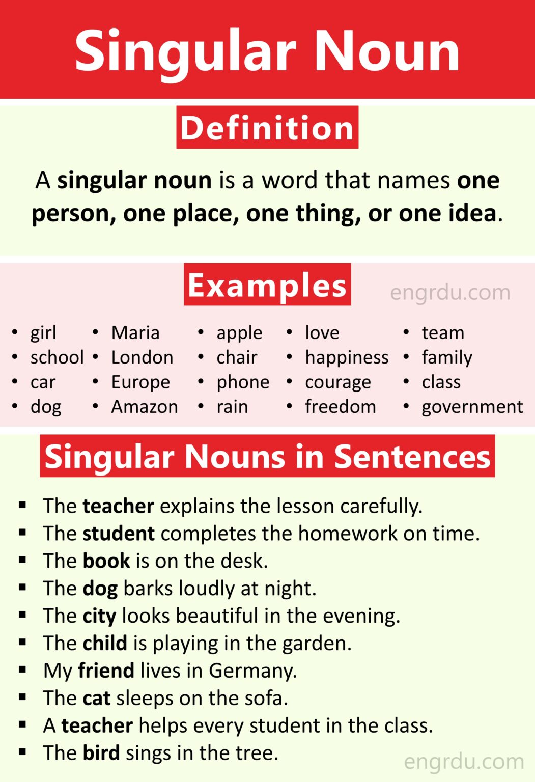 Singular Noun: Definition, Uses, and Examples - Engrdu