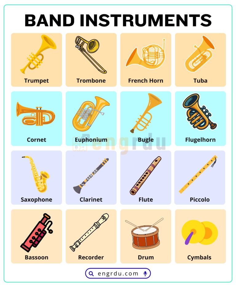 Band Instruments Name in English with Pictures - Engrdu