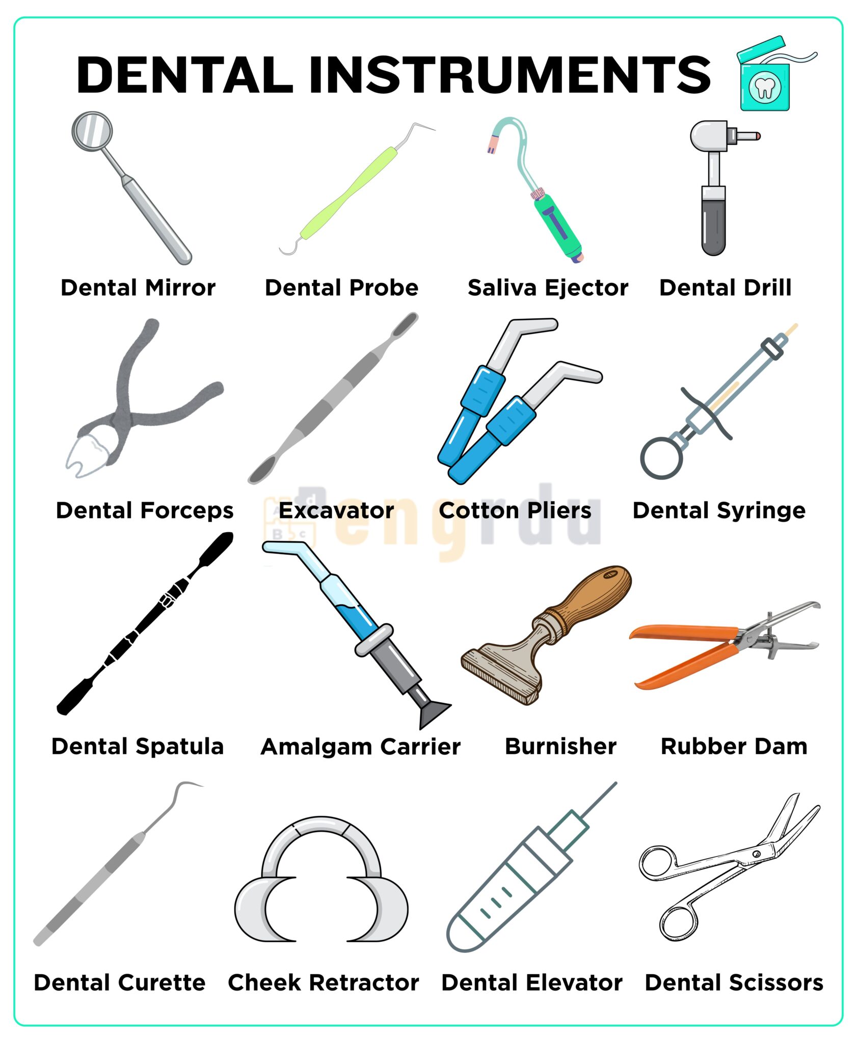 Dental Instruments Names: Learn Common Dental Tools - Engrdu